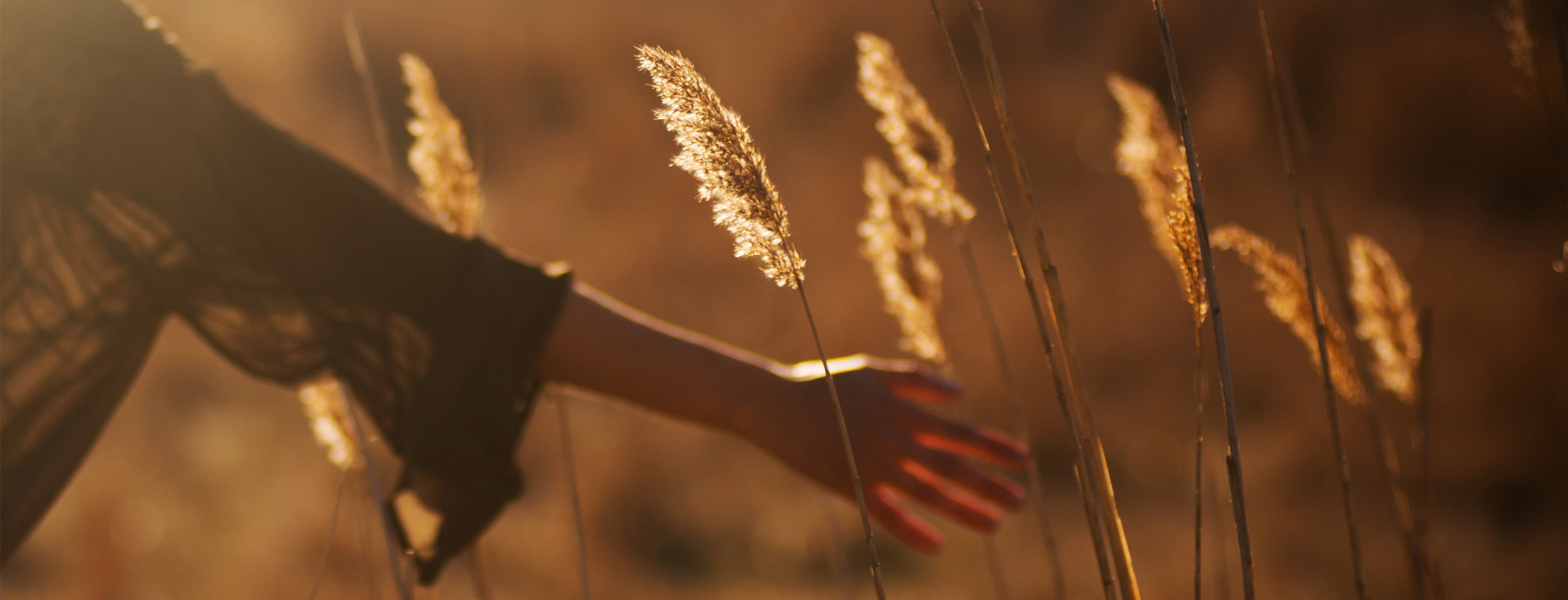 AYARENDER - MoveCreative